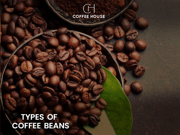 Top 5 Types of Coffee Beans for Home Brewing